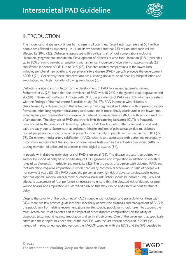 IWGDF-2023-05-PAD-Guideline.pdf