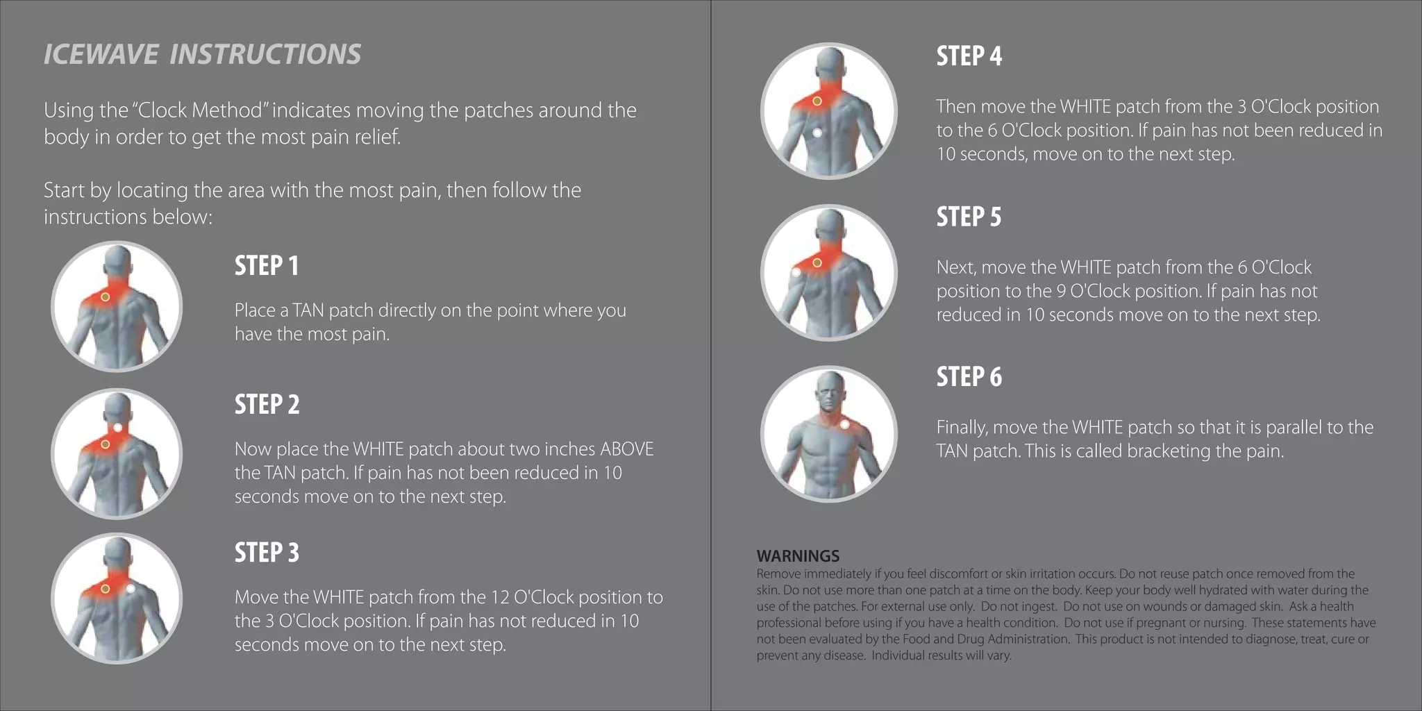 Icewave Booklet | PDF