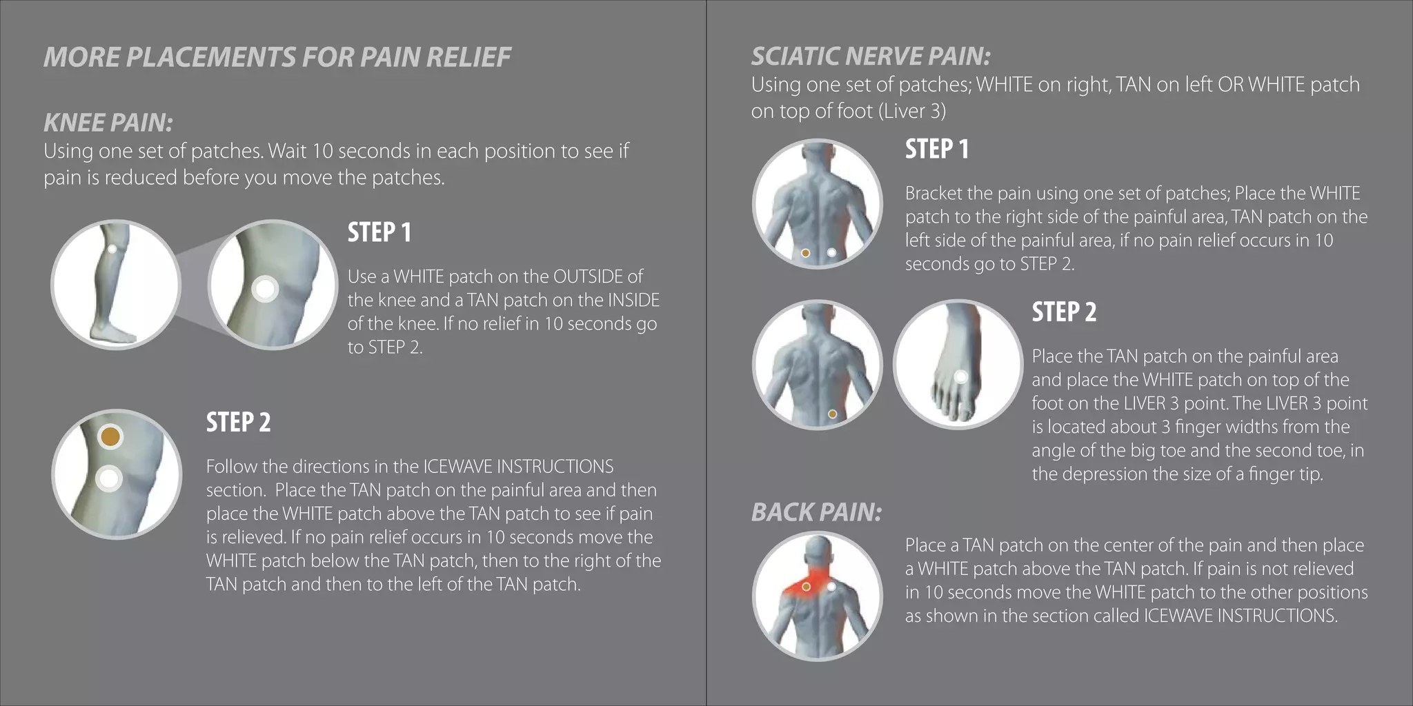 Icewave Booklet | PDF