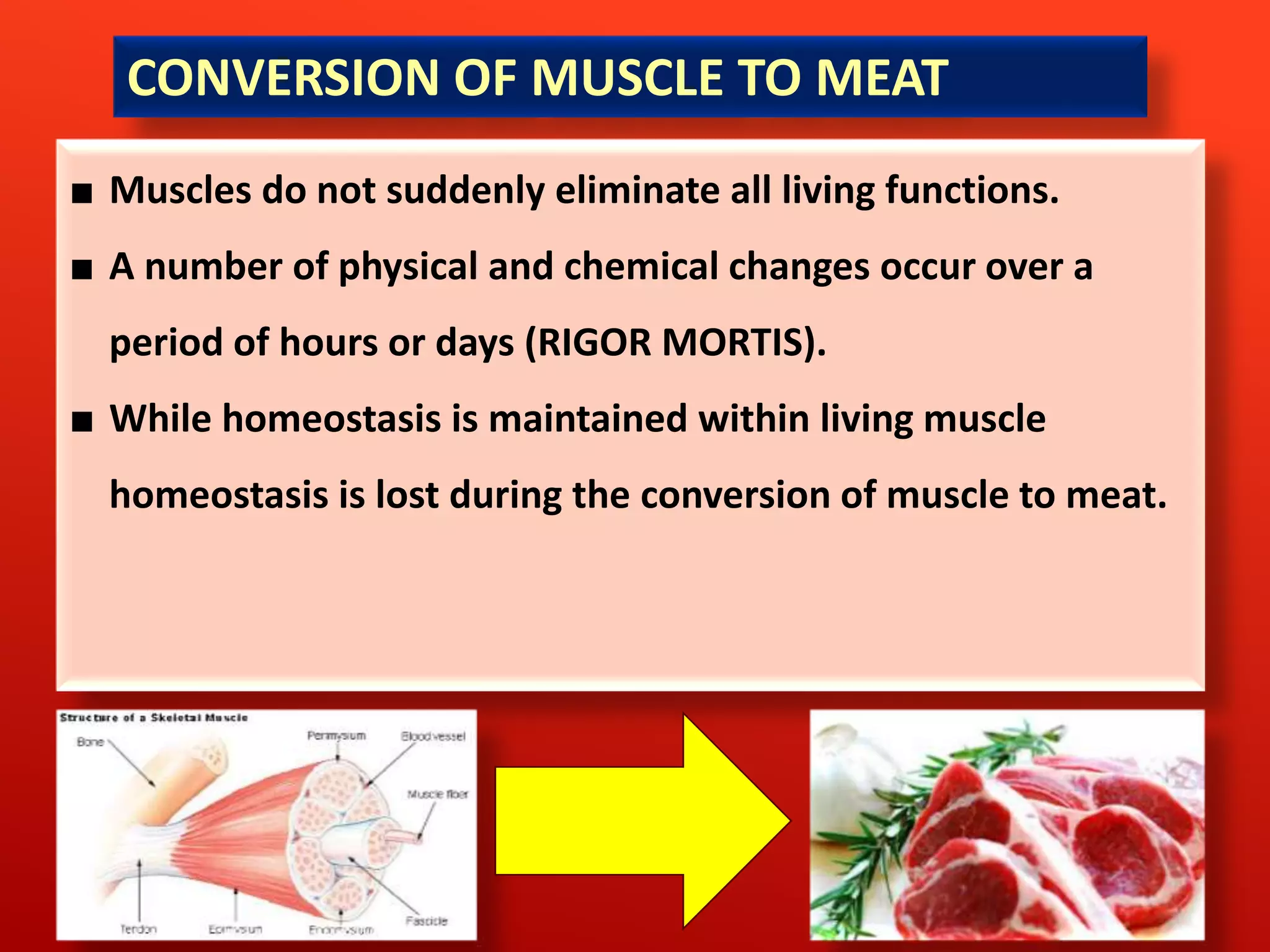 MEAT_MICROBIOLOGY.pptx
