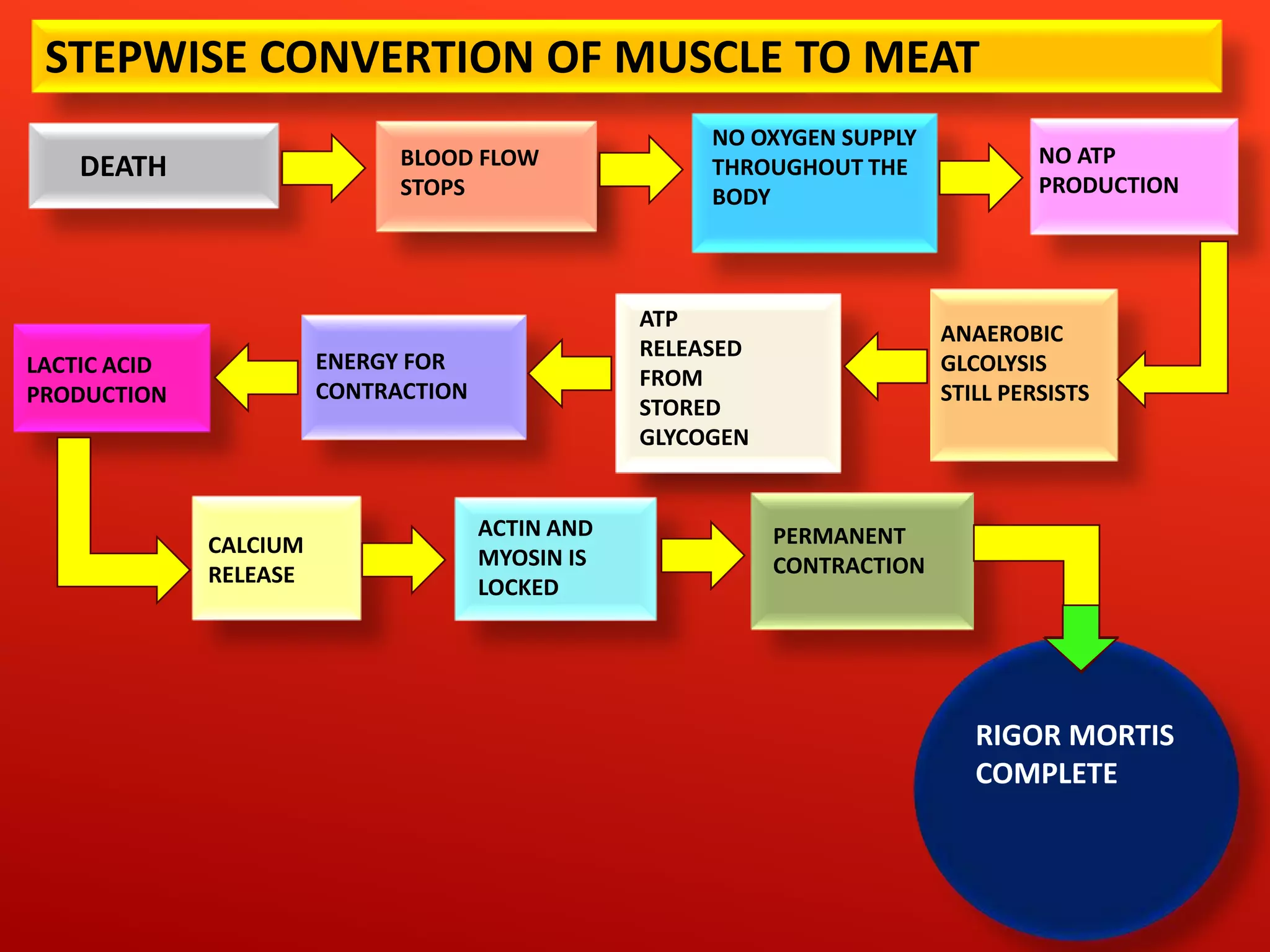 MEAT_MICROBIOLOGY.pptx