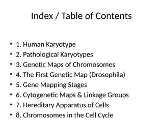 Human karyotype. IWLT_Presentation.pptx