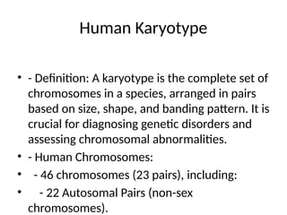 Human karyotype. IWLT_Presentation.pptx