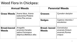 INTEGRATED WEED MANAGEMENT IN CHICKPEA | PPTX