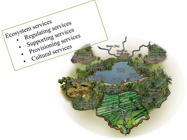 Indigenous water management for flood and drought | PPT