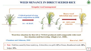 Integrated weed management in direct seeded rice | PDF