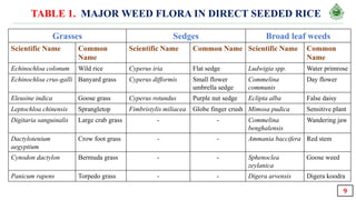 Integrated weed management in direct seeded rice | PDF