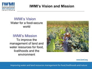International Water Management Institute (IWMI) Strategic Plan ...