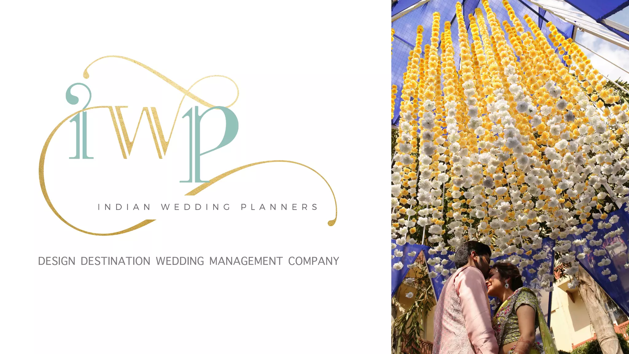 IWP - Pitch Deck | PDF