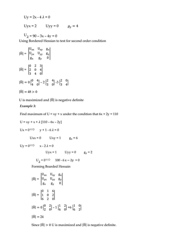Constrained Optimization | DOCX | Business Accounting & Finance | Business