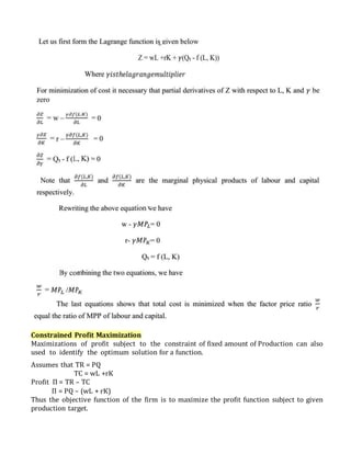 Constrained Optimization | DOCX