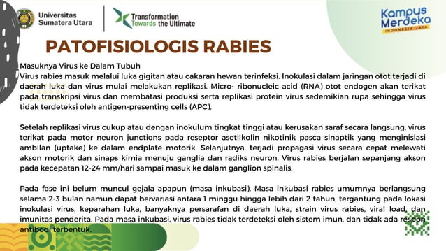 IW RABIES.pdf