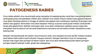 IW RABIES.pdf