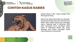 IW RABIES.pdf