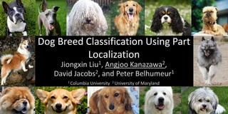 Dog Breed Classification Using Part Localization | PPTX | Dogs | Pets