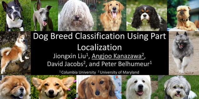 Dog Breed Classification Using Part Localization | PPT