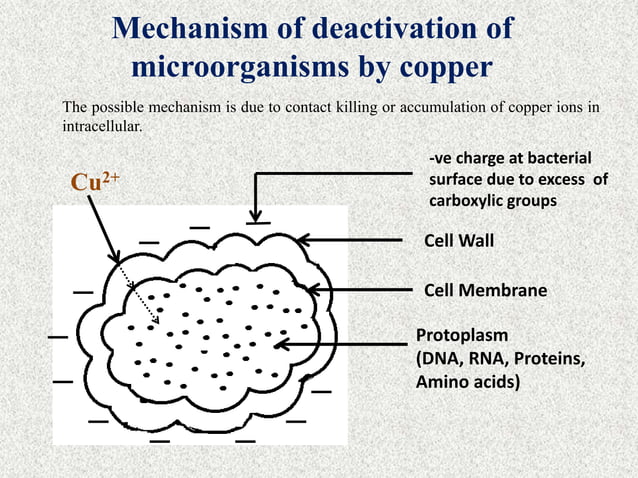 Design of Water Disinfection Unit using Copper | PPT