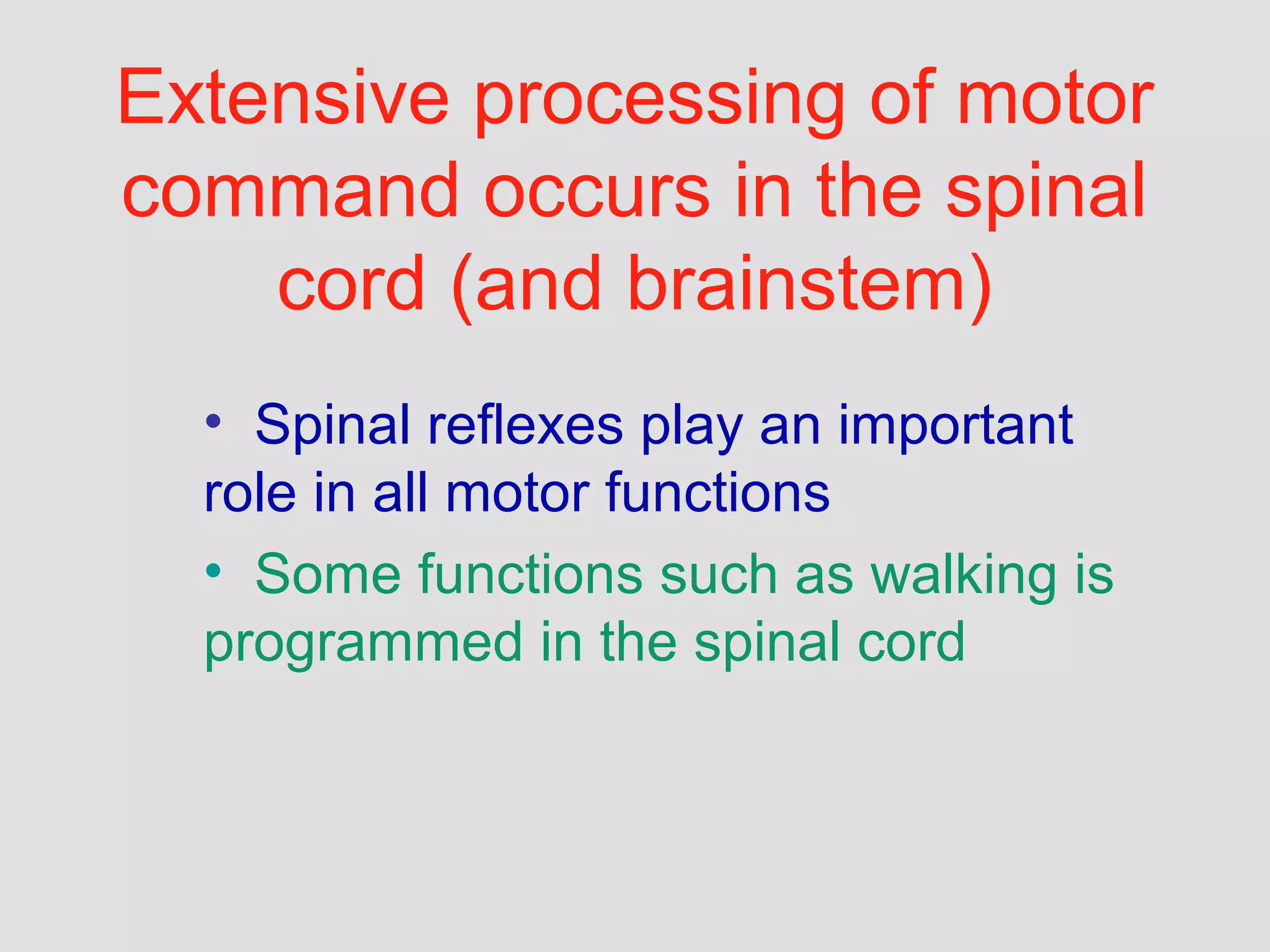Anatomy and Physiology of Motor disorder | PPT