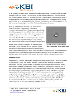 Subvisible Particle Characterization: Why Simply Counting Shadows ...