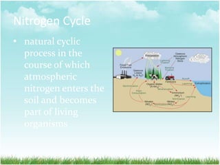 Nutrient cycle by Uday sir | PPTX
