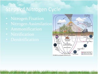 Nutrient cycle by Uday sir | PPTX