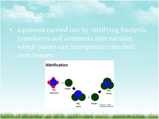 Nutrient cycle by Uday sir | PPTX