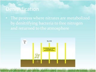 Nutrient cycle by Uday sir | PPTX