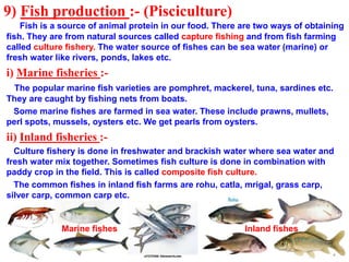 IX-15-Improvement in food resources.ppt