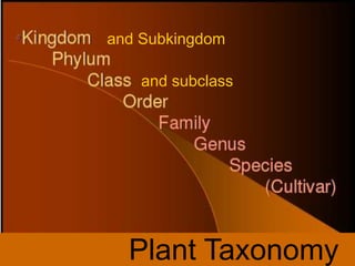 PlantTaxonomy-NP-301-PlantTaxonomy--.ppt