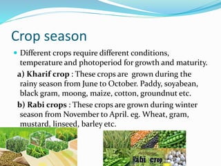 IX Bio L-15 M 1 of 4 PPT.pdf