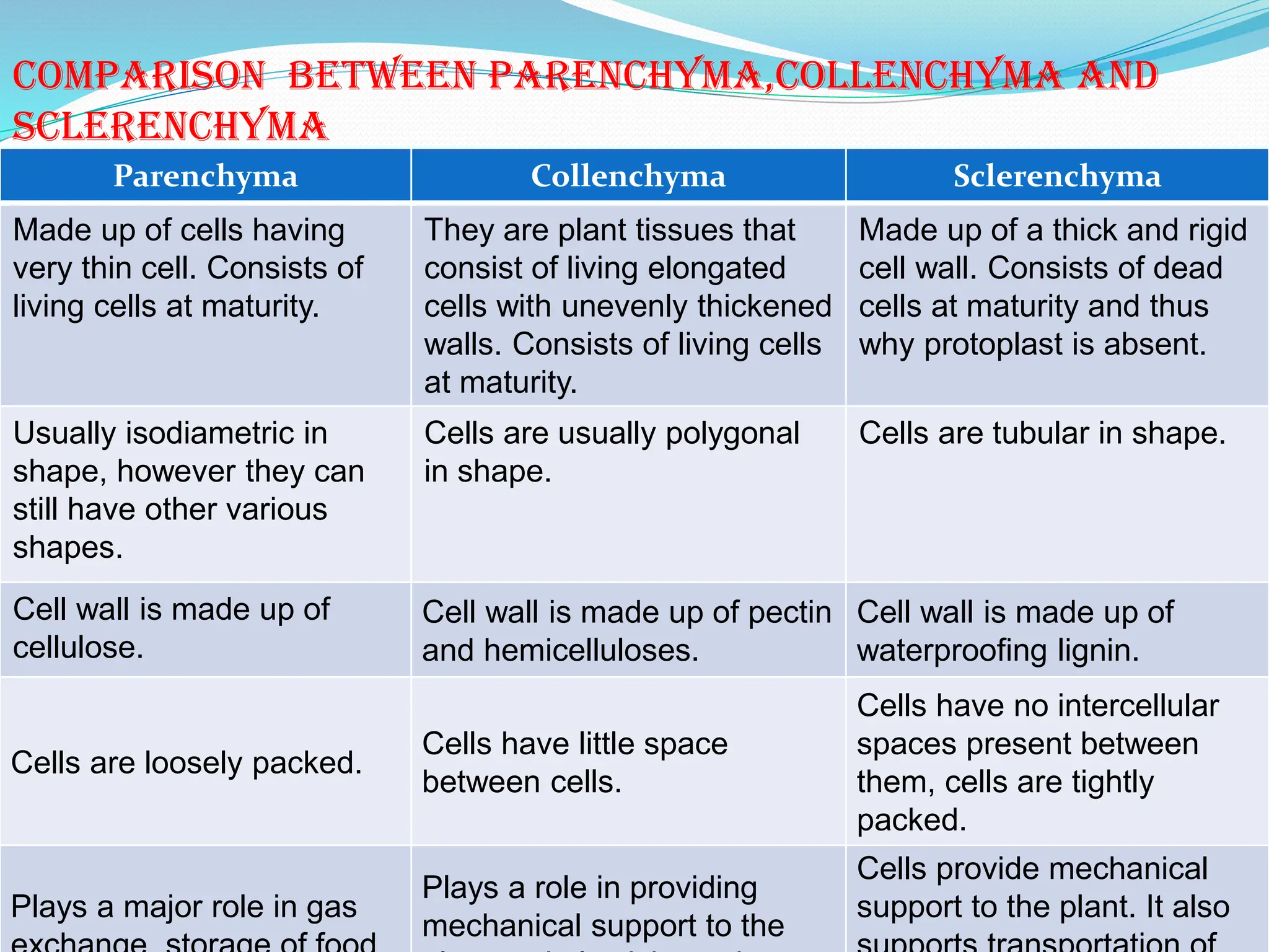 IX_BIOLOGY_6_1,PPT.pdfcvhjhhhhhhhhhhhggg | PDF