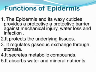 IX_BIOLOGY_6_1,PPT.pdfcvhjhhhhhhhhhhhggg | PDF