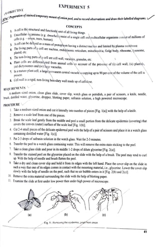 IX Bio Record writing.pdf