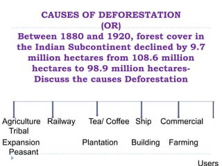 Forest and colonialism | PPTX