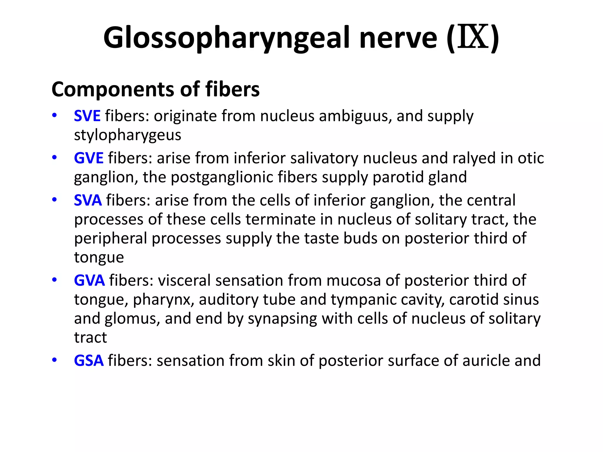 Ix nerve | PPTX