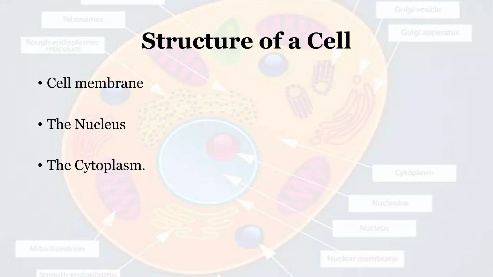 Ix ppt CELL- Fundamental unit of life | PPTX
