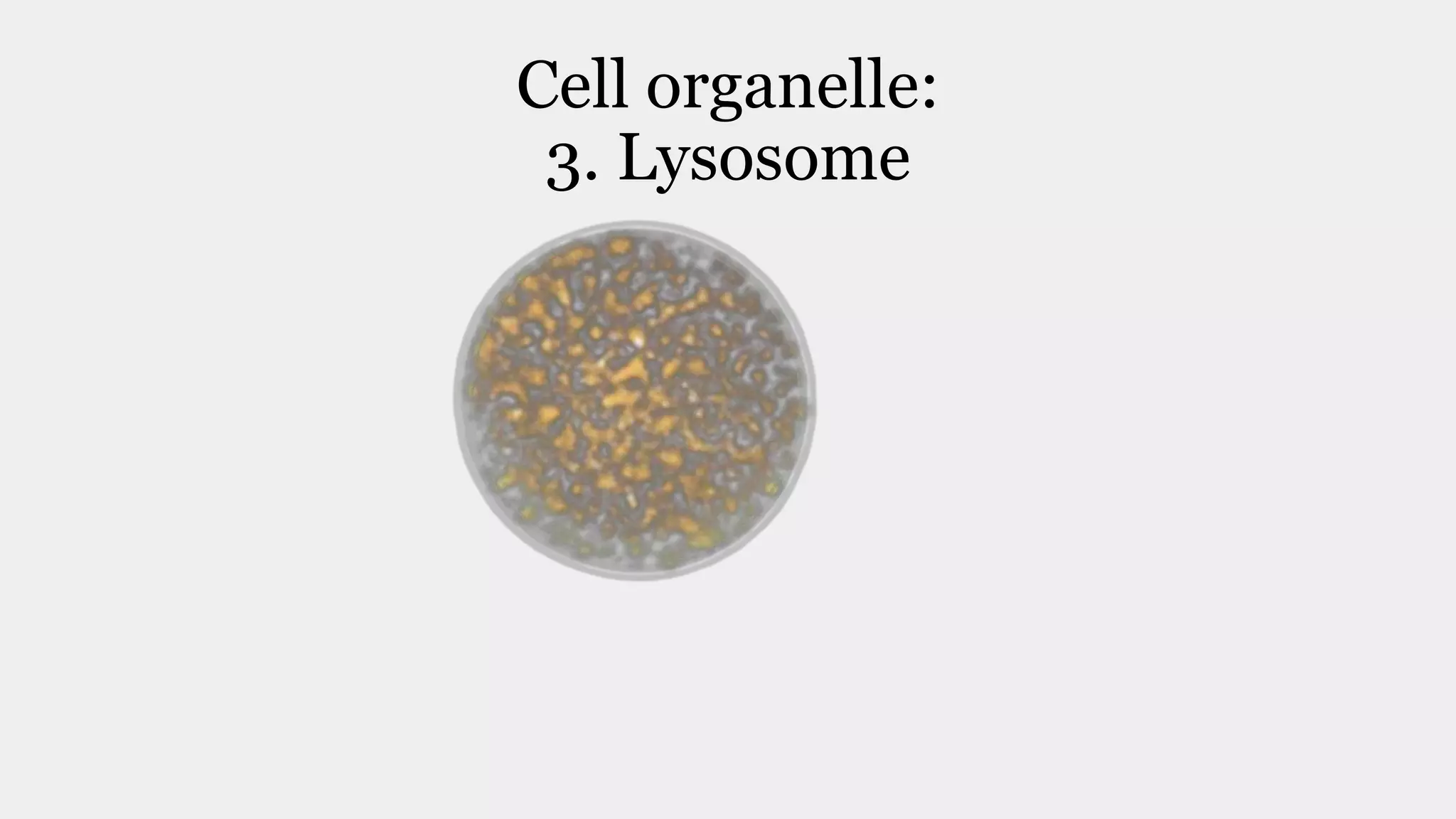 Ix ppt CELL- Fundamental unit of life | PPTX