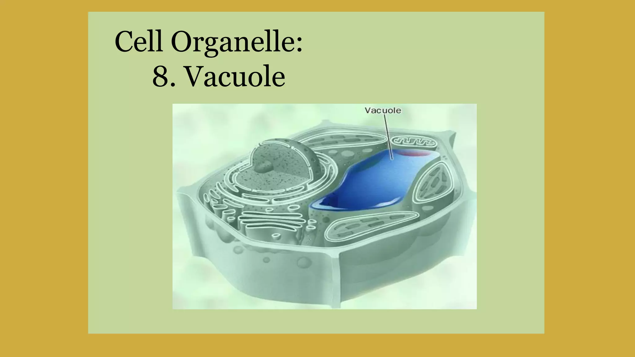 Ix ppt CELL- Fundamental unit of life | PPTX