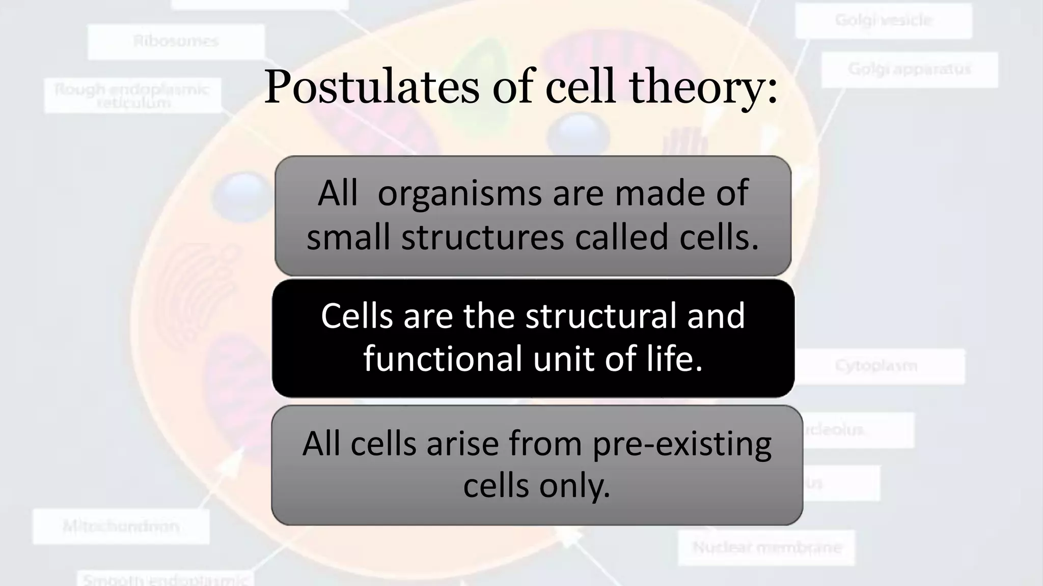 Ix ppt CELL- Fundamental unit of life | PPTX