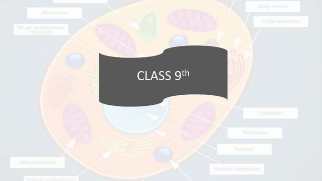Ix ppt CELL- Fundamental unit of life | PPTX | Biological Sciences ...