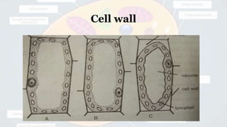 Ix ppt CELL- Fundamental unit of life | PPTX