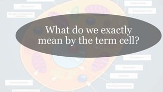 Ix ppt CELL- Fundamental unit of life | PPTX