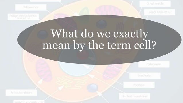 Ix ppt CELL- Fundamental unit of life | PPTX | Biological Sciences ...