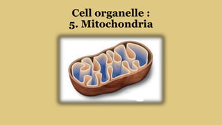 Ix ppt CELL- Fundamental unit of life | PPTX
