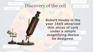 Ix ppt CELL- Fundamental unit of life | PPTX