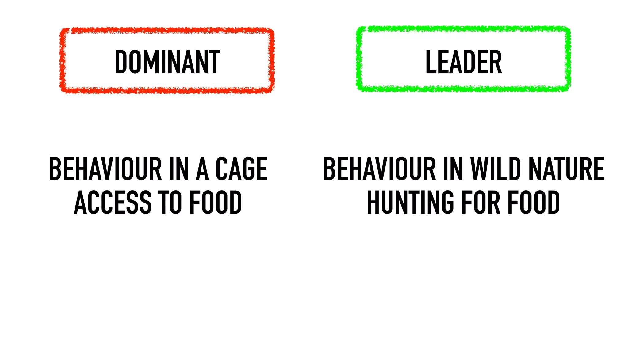 Anna Obukhova - Biology of Powerful Powerless Leader | PPT