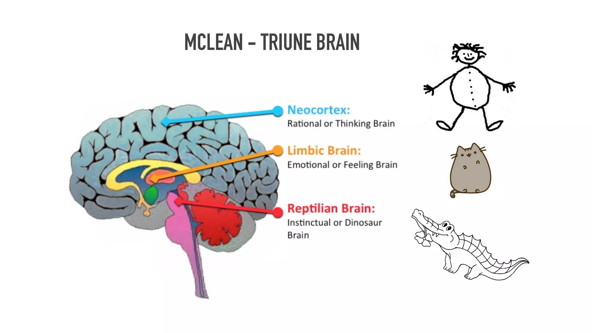 Anna Obukhova - Biology of Powerful Powerless Leader | PPT