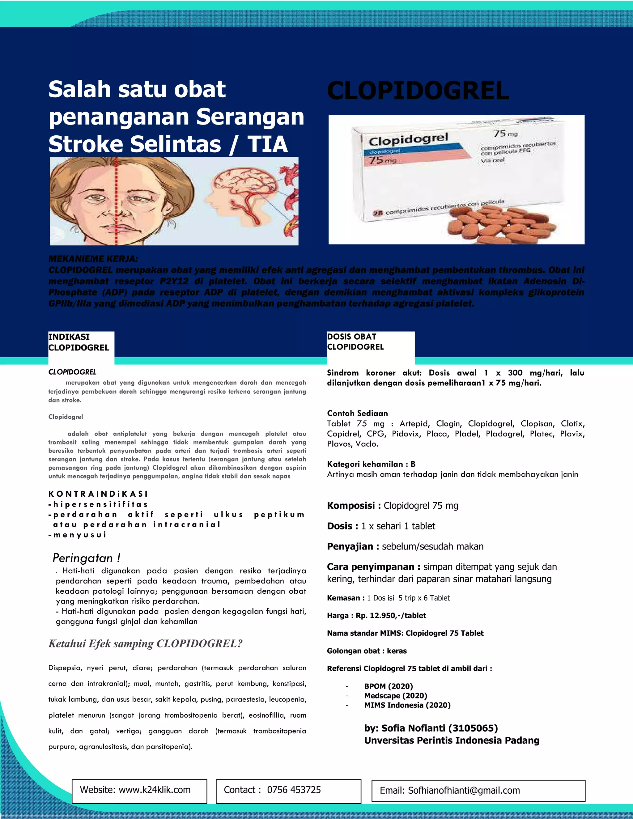 NEWSLETTER OBAT STROKE RINGAN | PDF