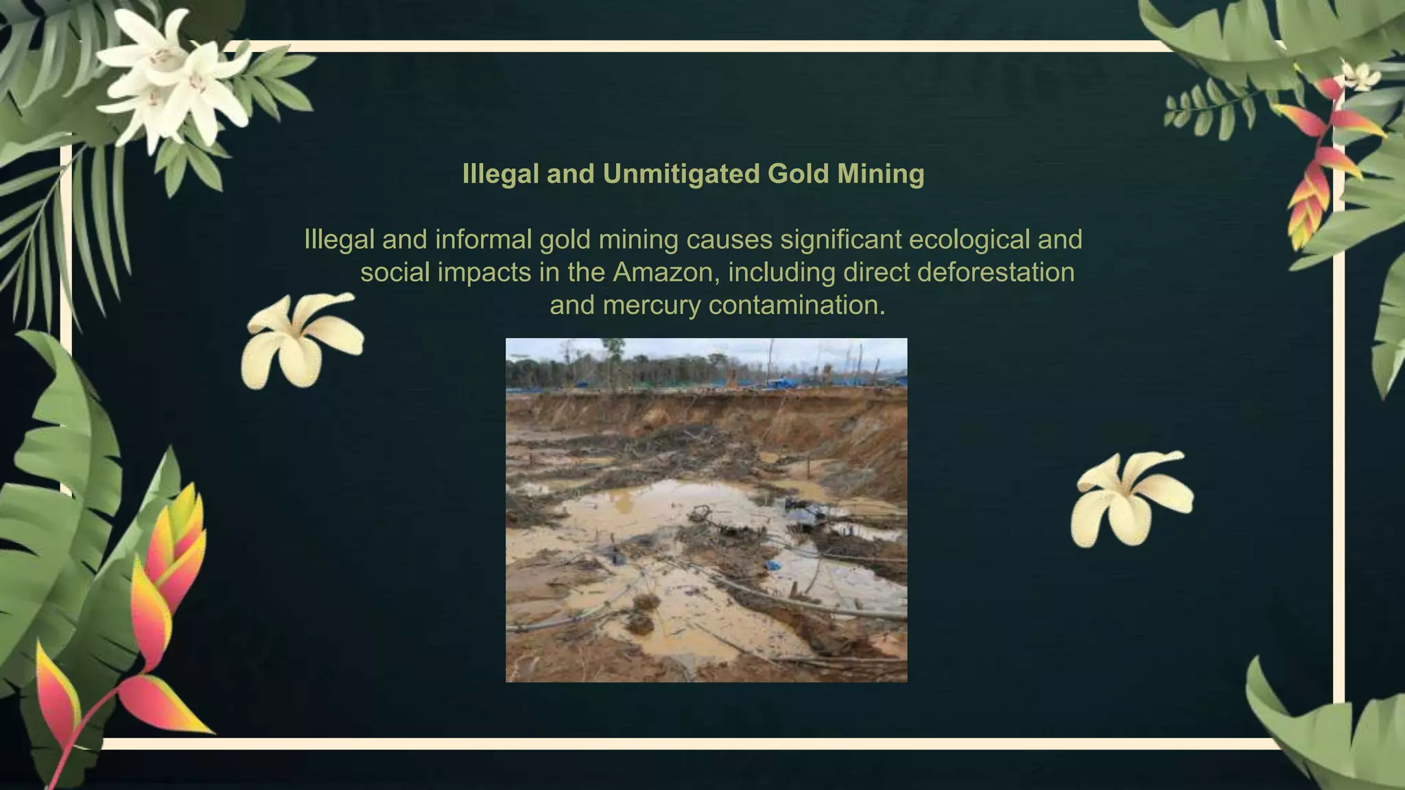 Amazon rainforest.pptx