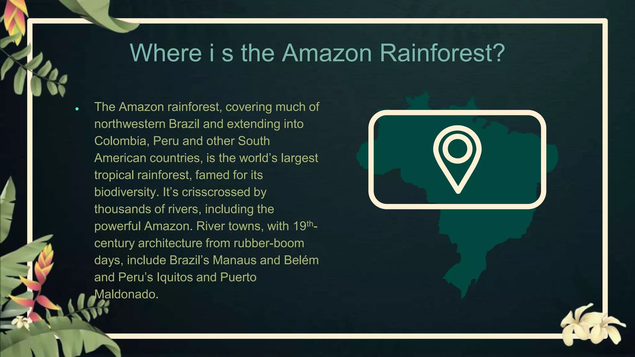 Amazon rainforest.pptx
